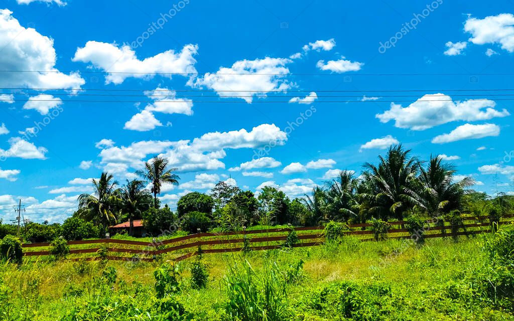 Selva tropical y bosque con carretera a través del pueblo Kantunilkin ...