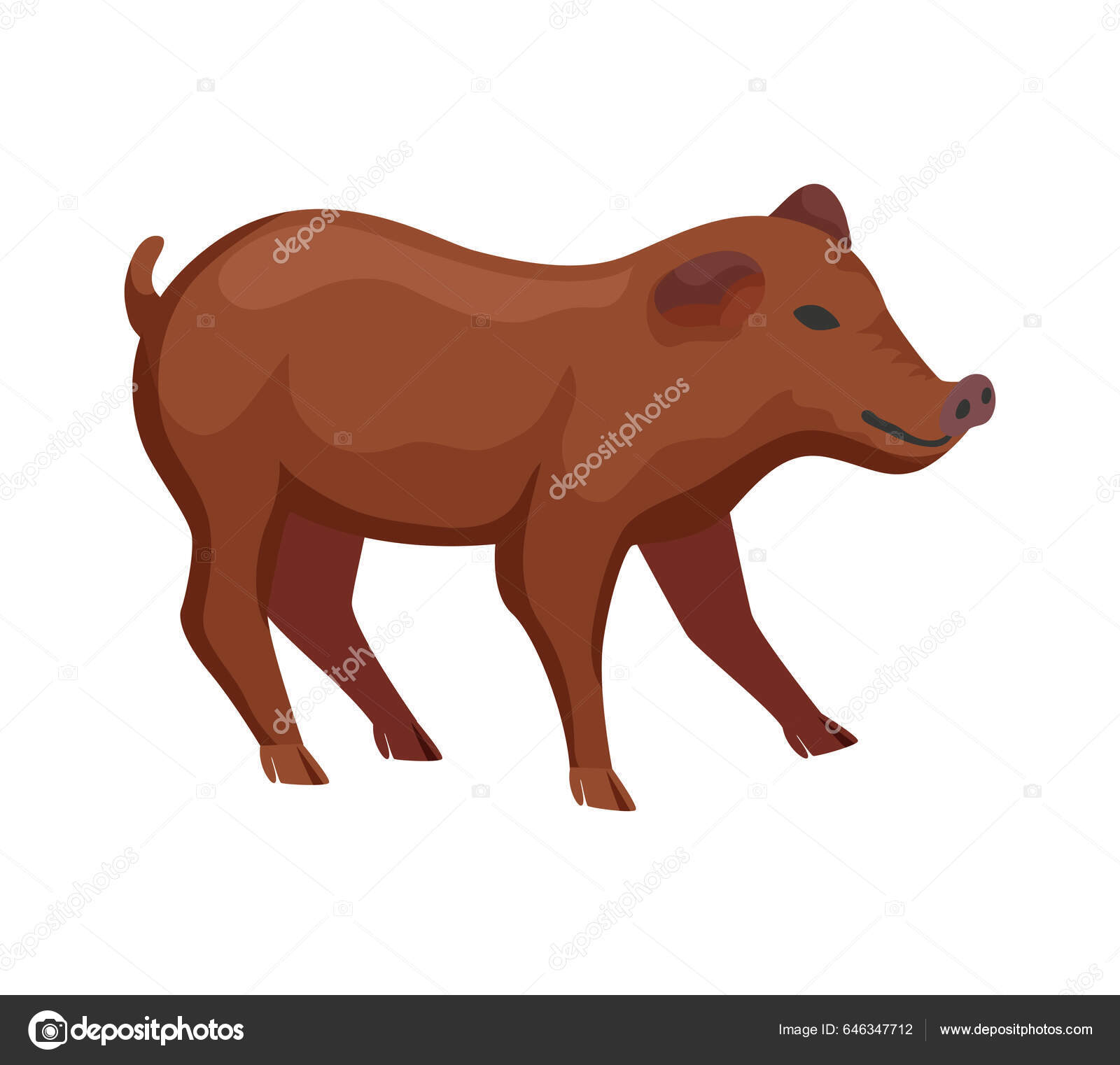 Duroc Pig Breed White Background Flat Vector Illustration Stock Vector ...