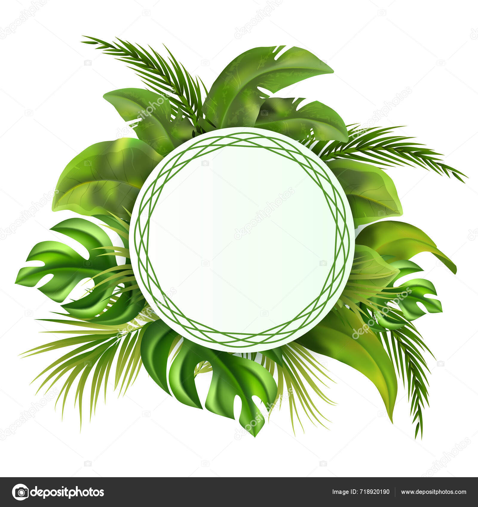 Realistic Jungle Frame Background Tropical Leaves — Stock Photo ...