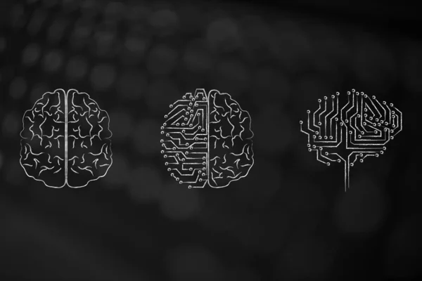 Brain technology binary Stock Photos, Royalty Free Brain technology binary Images | Depositphotos