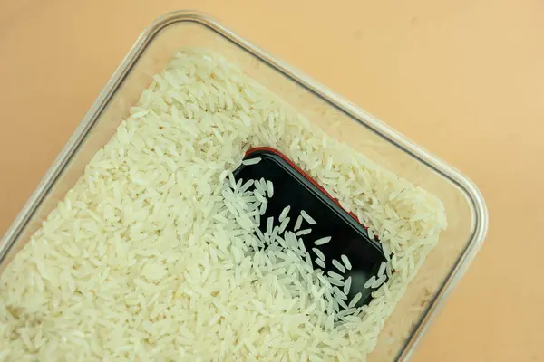 Pirince hararette Stock Photos, Royalty Free Pirince hararette Images ...