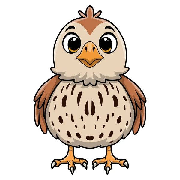 100,000 Gavião vetor cartoon Vector Images | Depositphotos