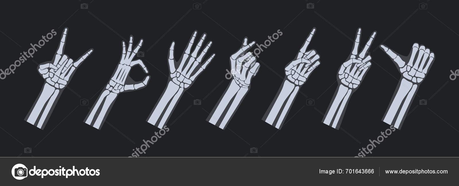Skeletal Hand Ray Gestures Peace Sign Okay Love Heart Gesture Stock ...