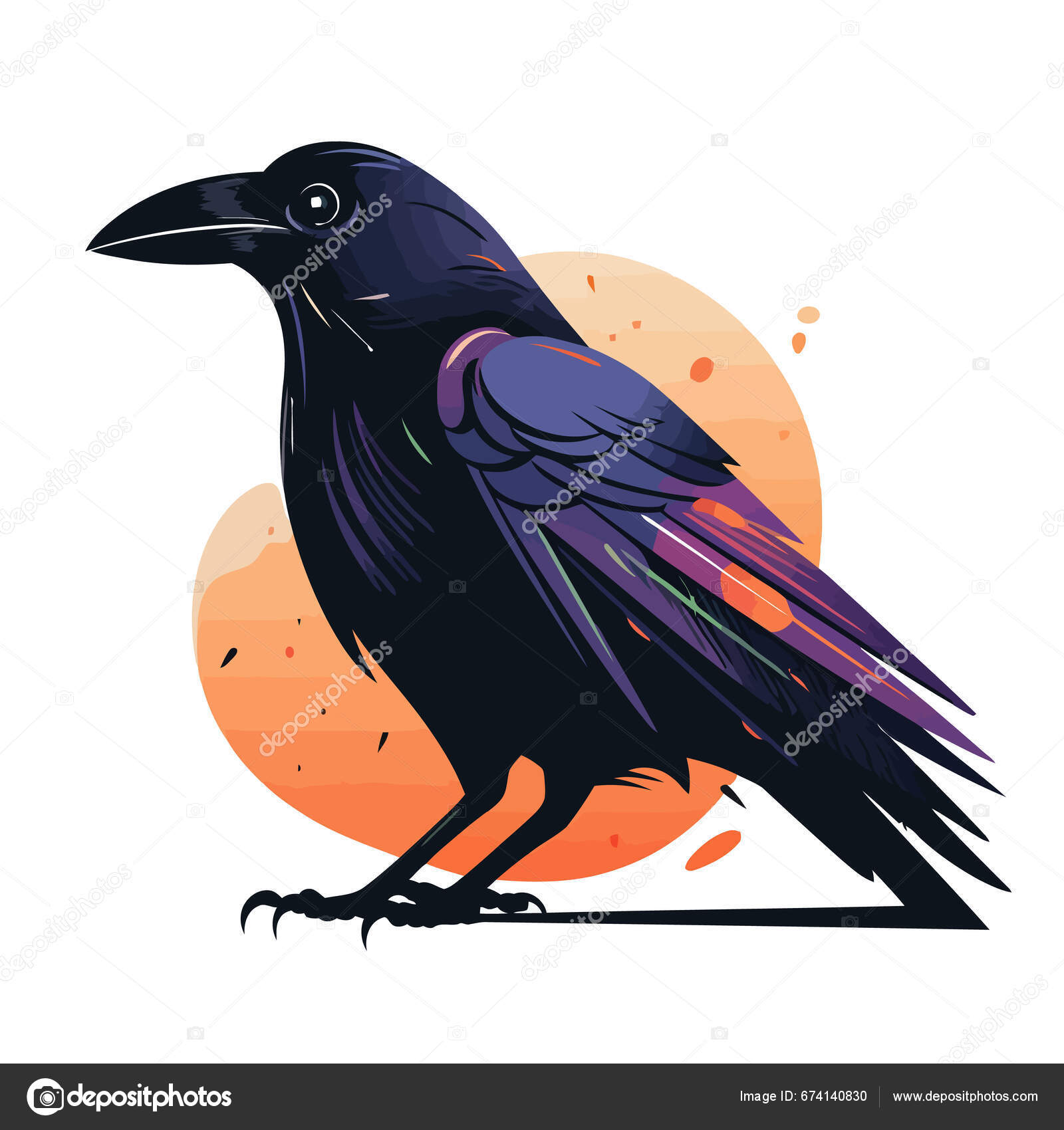 Imagen Cuervo Lindo Cuervo Aislado Sobre Fondo Blanco Ilustración ...