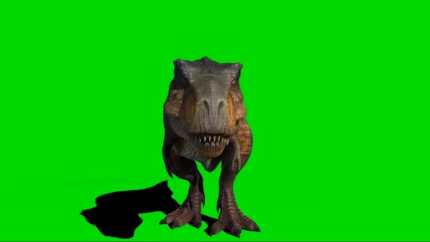 Tyrannosaurus Rex Roaring Green Screen — Stock Video ...