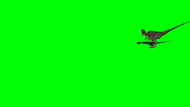 Velociraptor Running Green Screen — Stock Video © plussizefashion2019 ...