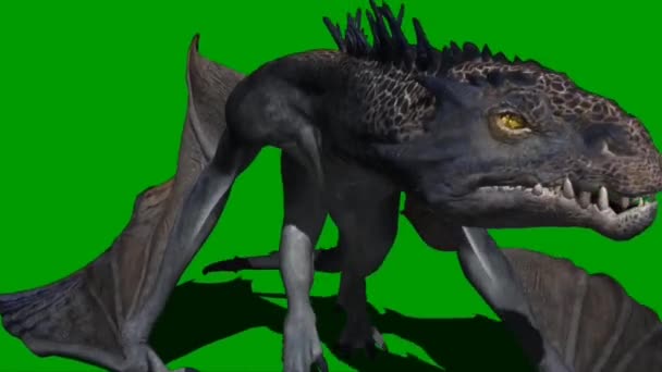 1,448 vídeos de Dragón volando, metraje de Dragón volando sin royalties ...