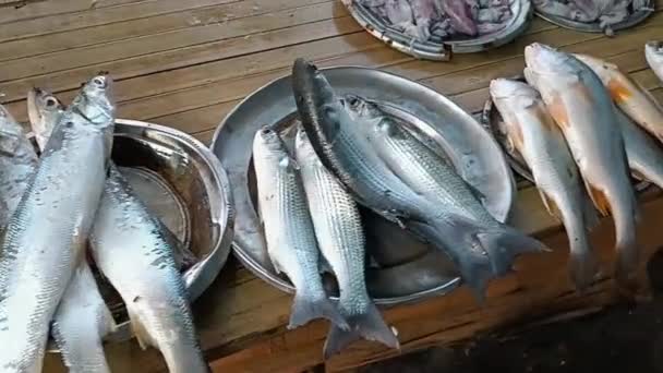 Fish Seafood Kochi Waterfront India — Stock Video © Ego96 #710578160