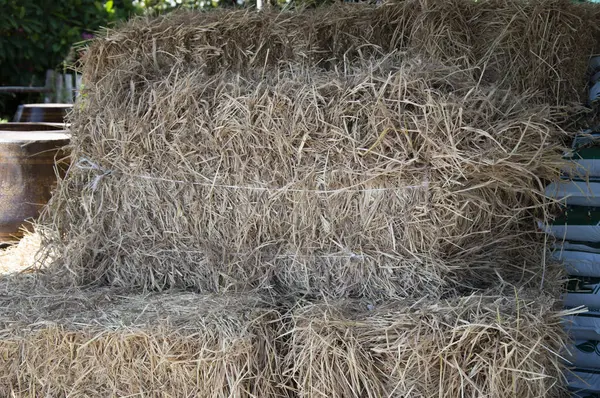 Straw fort Stock Photos, Royalty Free Straw fort Images | Depositphotos