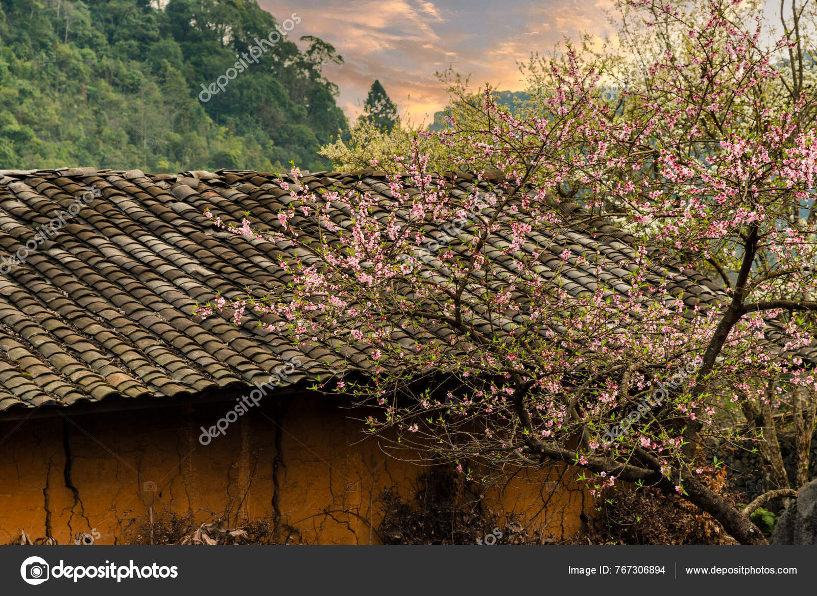 Spring Peaceful Life Hmong Ethnic Group Giang Vietnam — Stock Photo ...