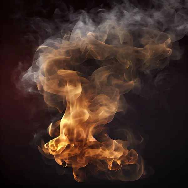 a fire is shown with smoke coming out of it's back end and a black ...
