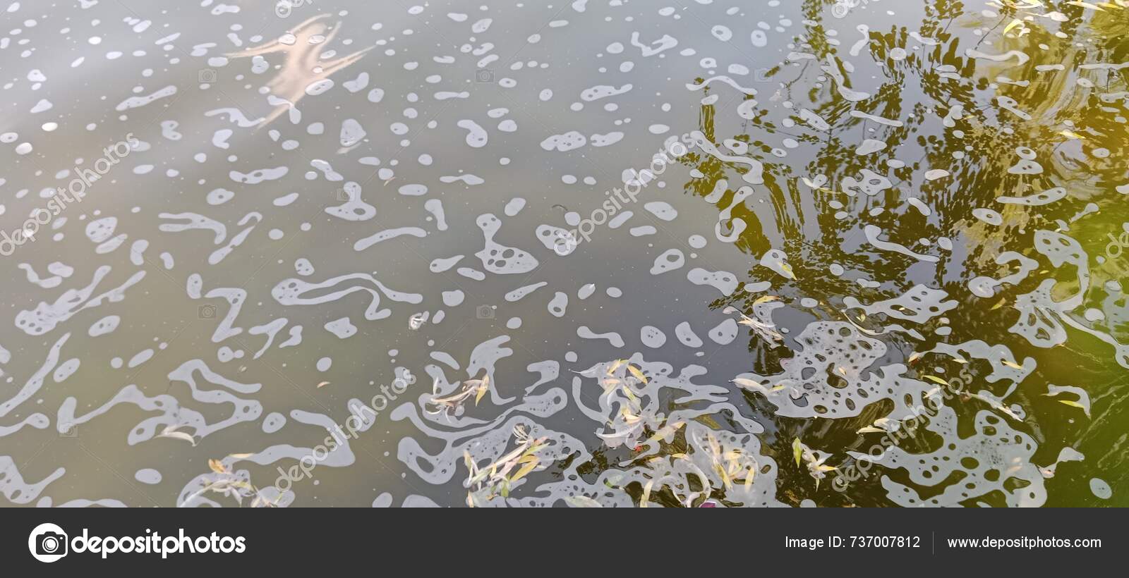 Water Pollution Sign White Background — Stock Photo © selim123 #737007812
