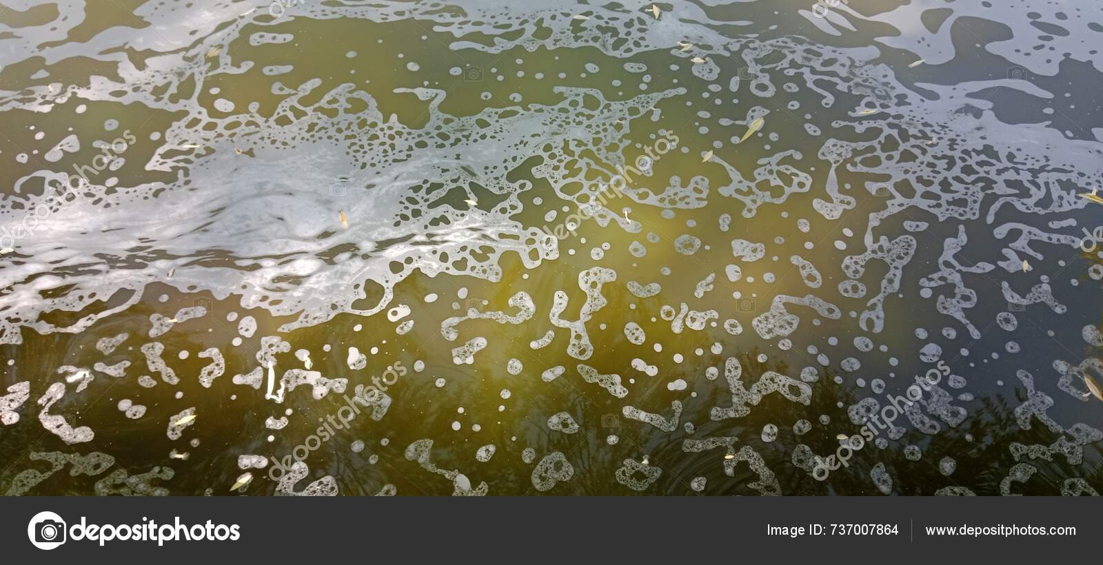 Water Pollution Sign White Background — Stock Photo © selim123 #737007864