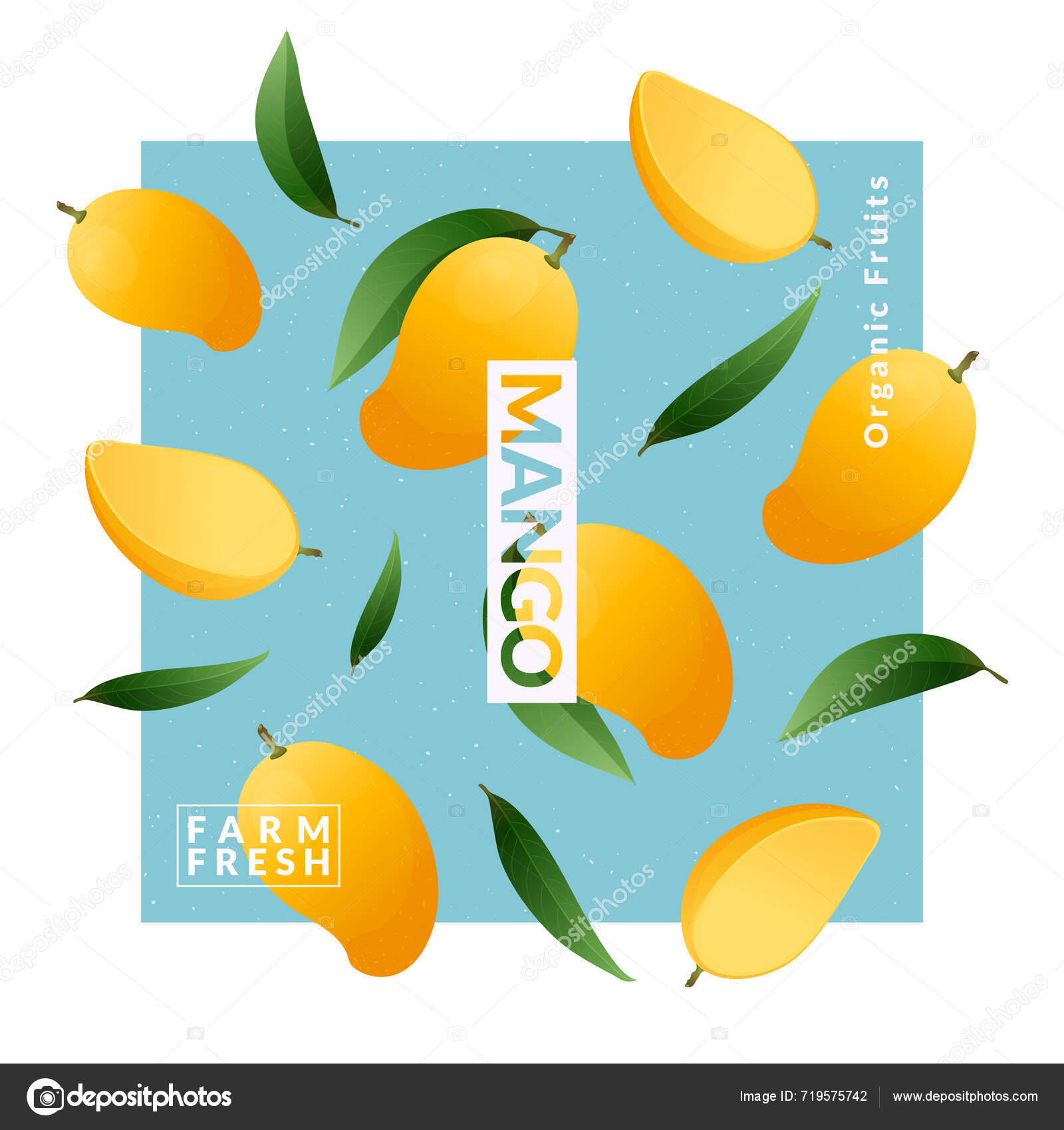 Mango Packaging Design Template Modern Style Vector Illustration Stock ...