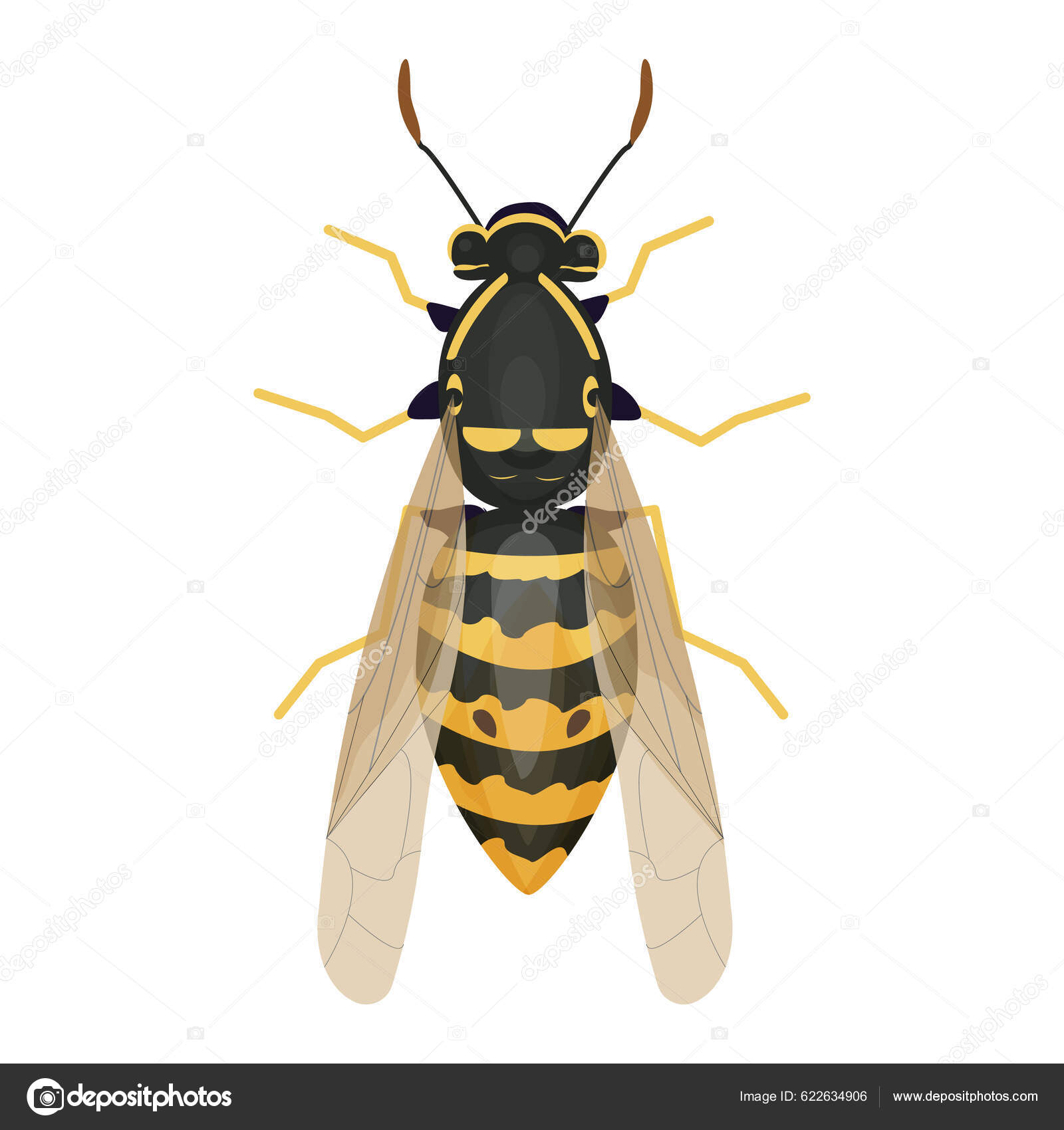 Wasp Insect Bumble Bee Top View Cartoon Style Realistic Bug Stock ...