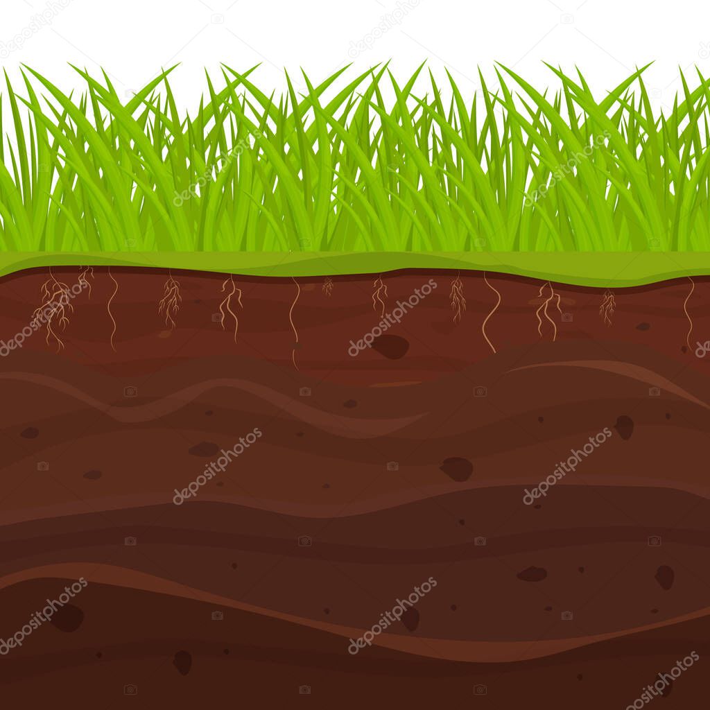 Suelo, suelo con capas, raíces de hierba y piedras, secciones de tierra ...