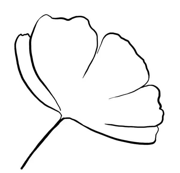 Parts of a flower outline without labelling Stock Photos, Royalty Free ...