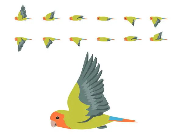 Bird Parrot Sun Conure Parakeet Flying Animation Sequence Cartoon ...