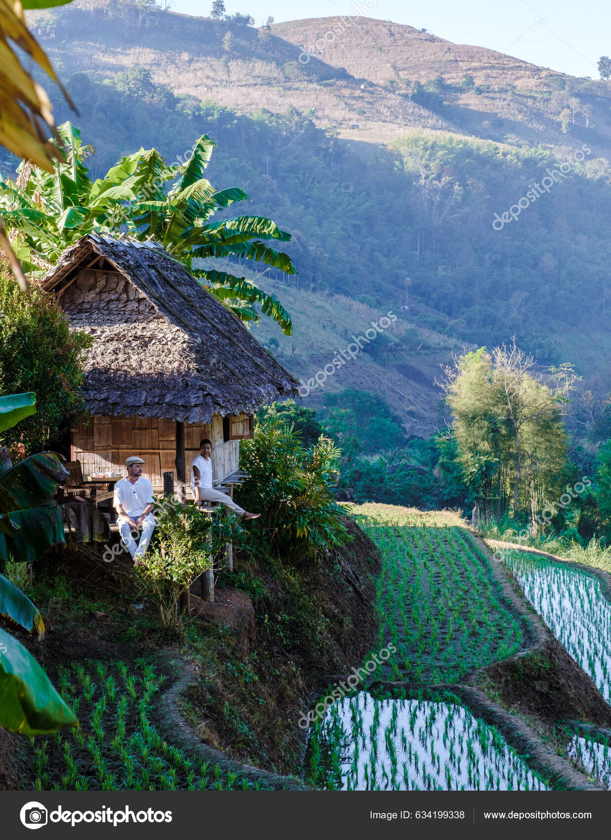 Couple Visits Rice Farm Rice Fields Northern Thailand Rice Paddies ...