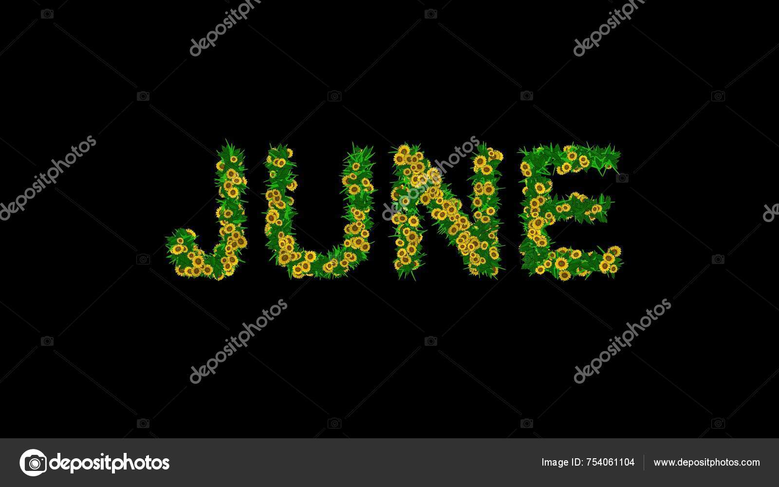 Beautiful Illustration June Text Green Leaves Yellow Daisy Flowers ...