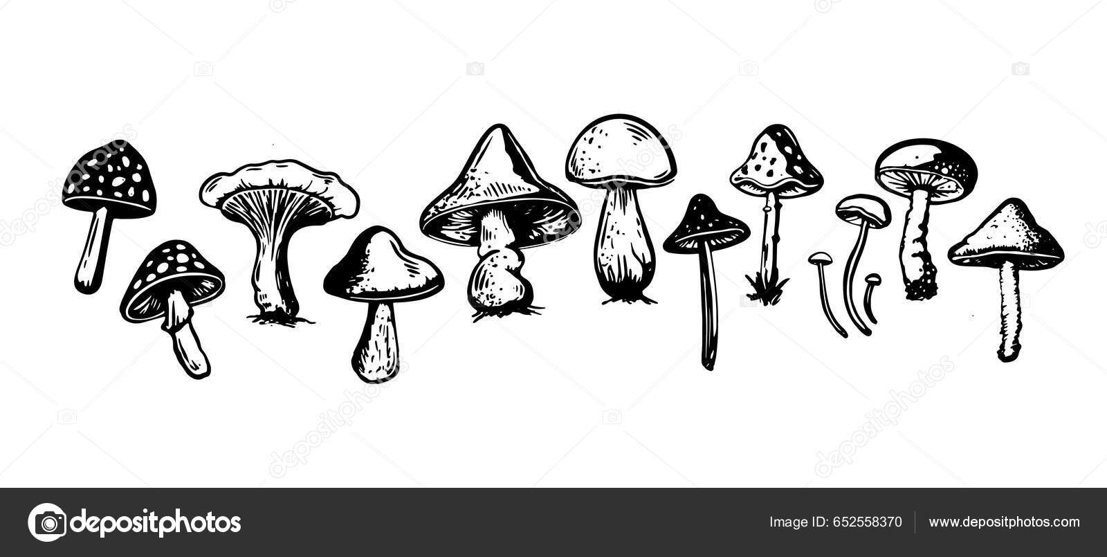 Conjunto Setas Ilustraciones Dibujadas Mano Vector Vector de stock por ...