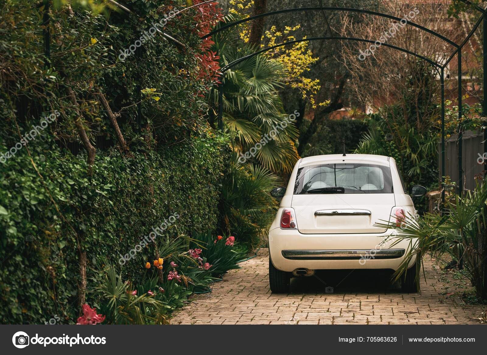 Rear View Parked White Compact Car — Stock Editorial Photo © kle1njke ...
