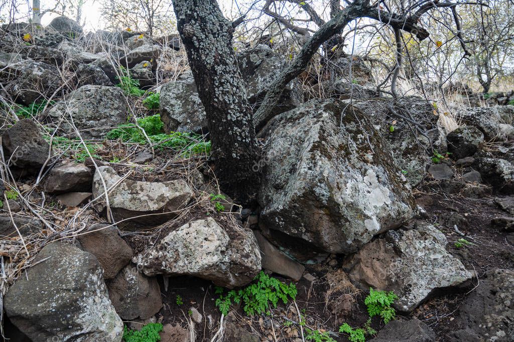 Primer plano de grandes rocas o cantos rodados cerca de las montañas ...
