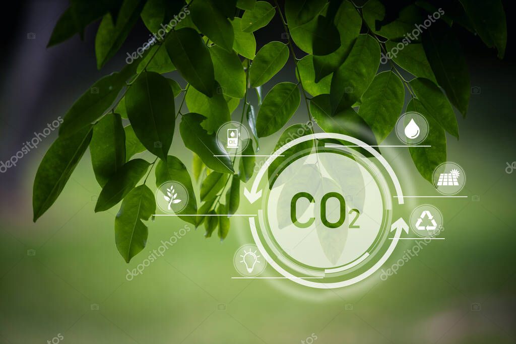 El dióxido de carbono o CO2 es gas incoloro. que inhalan este gas en ...