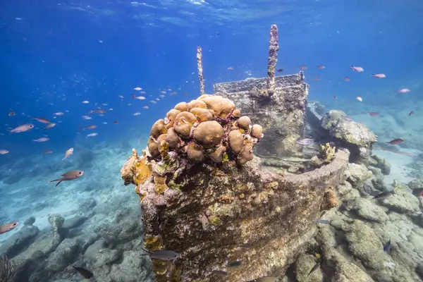 Shipwreck reef Stock Photos, Royalty Free Shipwreck reef Images ...