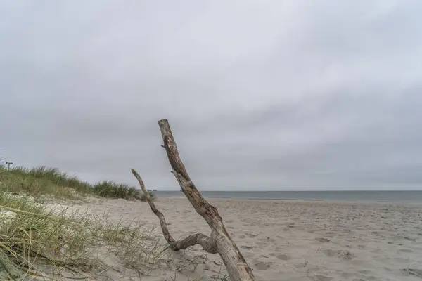 Disconnect beach fotos de stock, imágenes de Disconnect beach sin ...