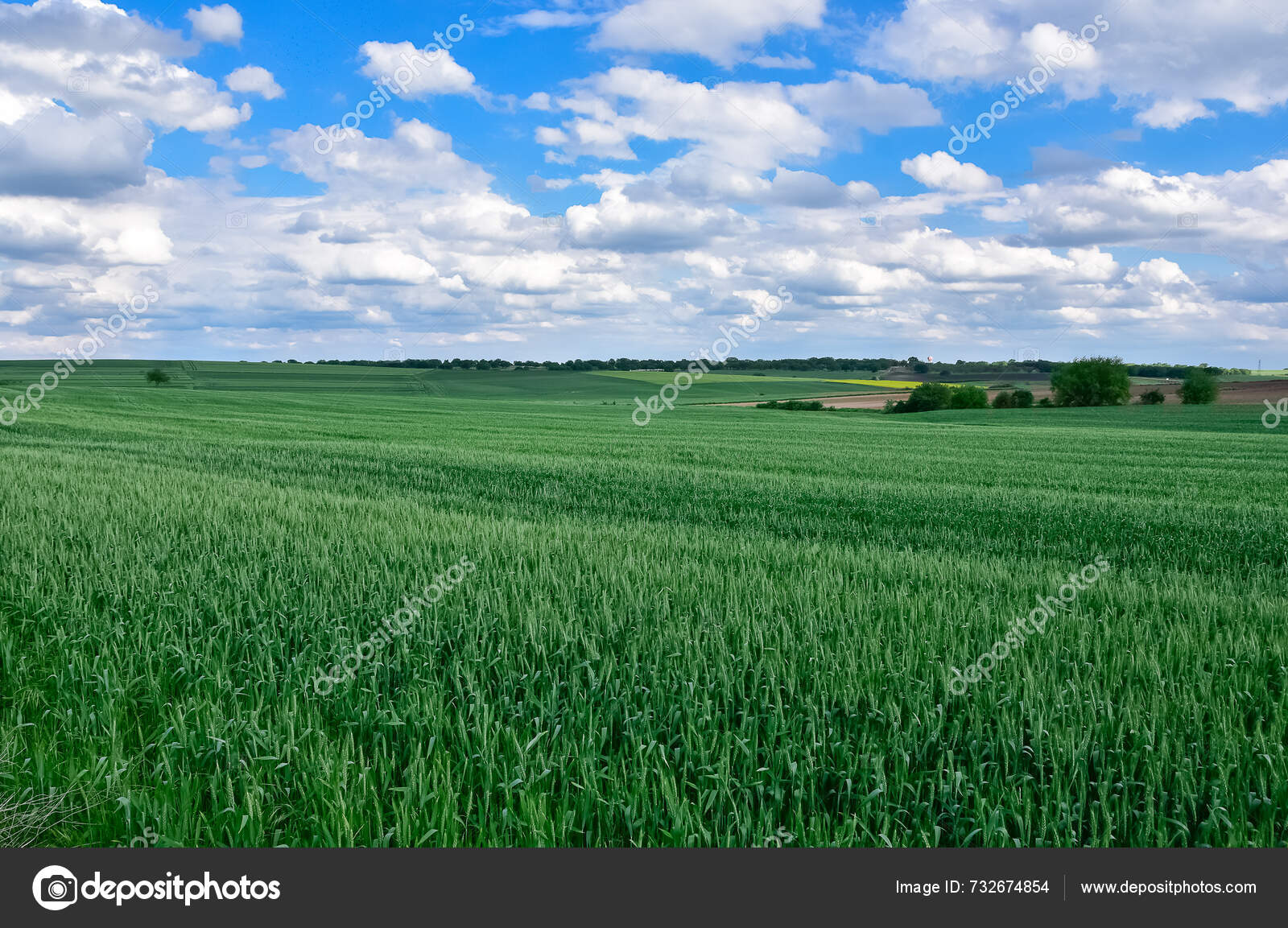 Rural Areas Photographs Wheat Fields Cloudy Skies — Stock Photo ...