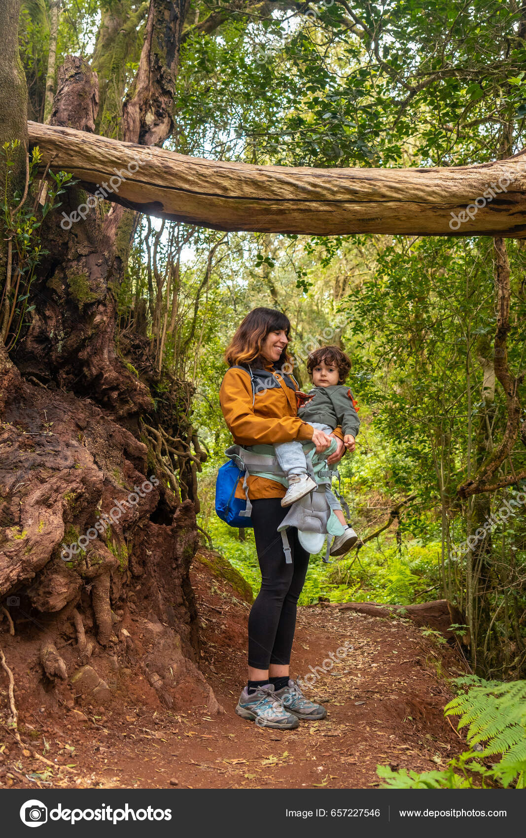Portrait Mother Son Tree Trail Mossy Tree Forest Garajonay National ...