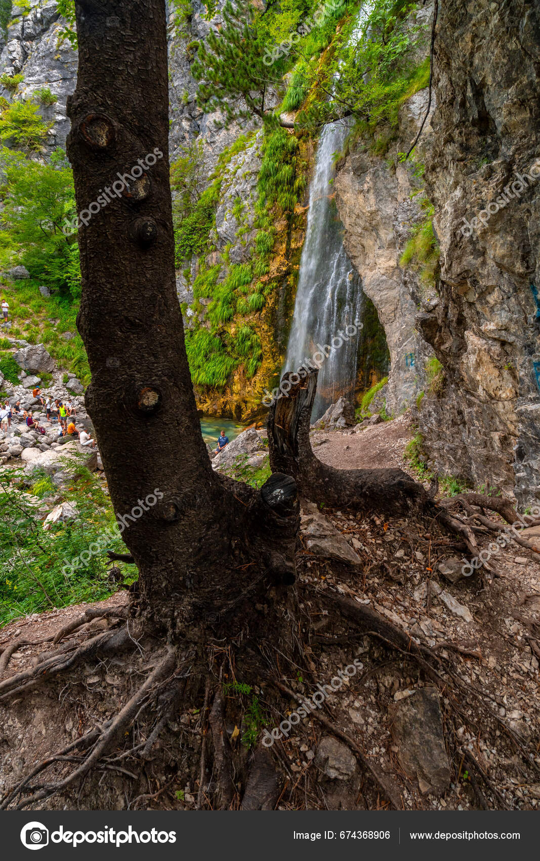 Tree Next Grunas Waterfall Theth National Park Albania Albanian Alps ...