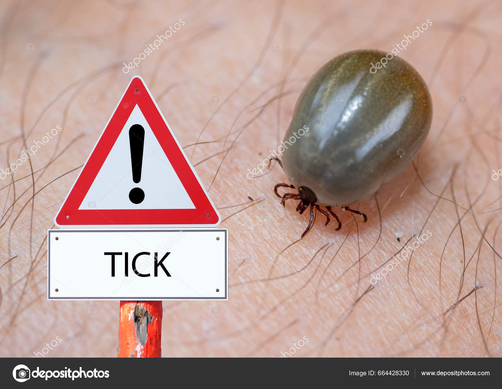Warning Sign Ticks Bloody Tick — Stock Photo © Animaflora-PicsStock ...