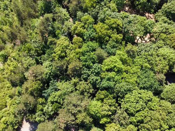 Aerial view of a wildlife corridor in tossa de mar spain Stockfotos ...