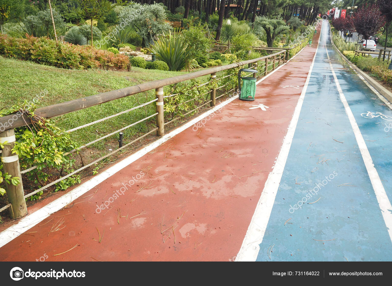 Vibrant Jogging Cycling Path Lush Green Park Clean Natural Environment ...