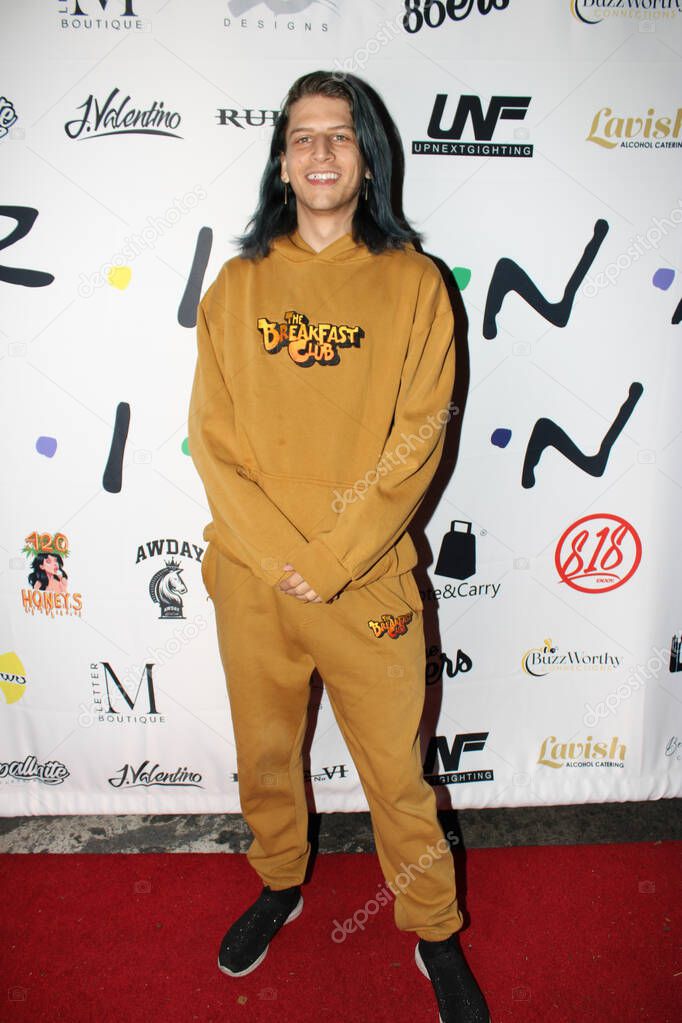 Los Angeles, CA - 19 de noviembre de 2023: Llegadas de alfombras rojas ...