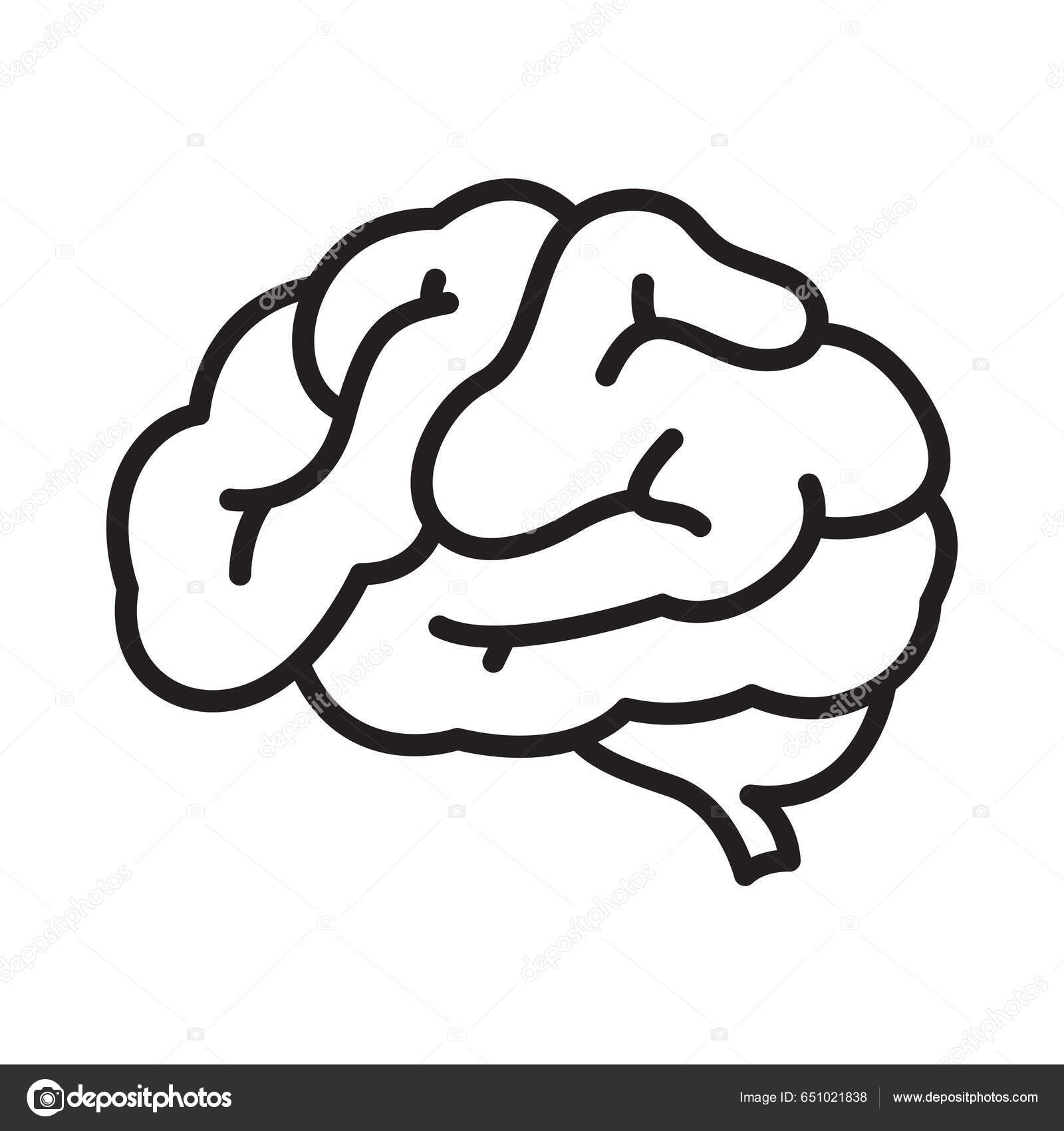 Human Brain Icon