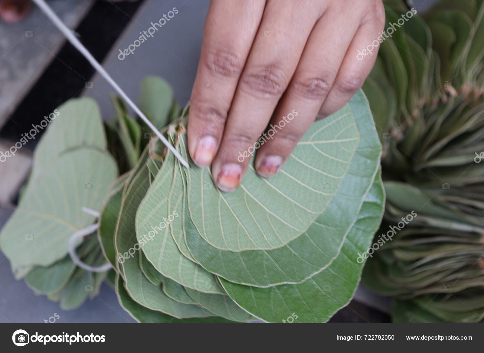 Butea Monosperma Leaves Garland Isolated Wood Background — Stock Photo ...
