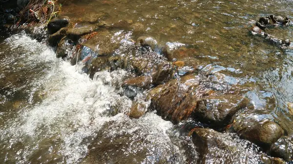 Close-up water flows through a river with different sized stones in it ...