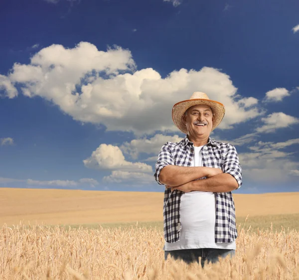 Real farmer Stock Photos, Royalty Free Real farmer Images | Depositphotos