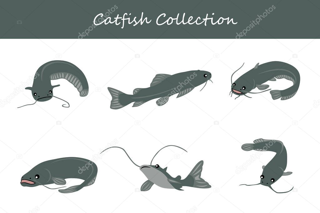 Lindo Conjunto Bagre Dibujos Animados Ilustración Vectorial Aislada ...