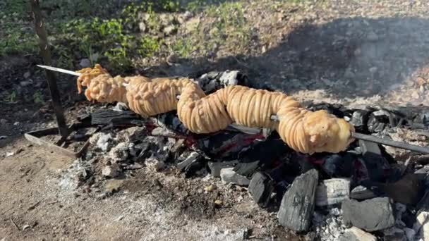 164 Burning stomach Stock Videos, 4K & HD Footage | Depositphotos