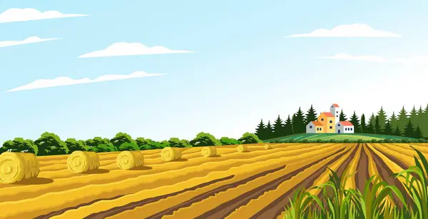 Cartoon Crop Field Spring Landscape Of Daisy Farm Field With Fluffy