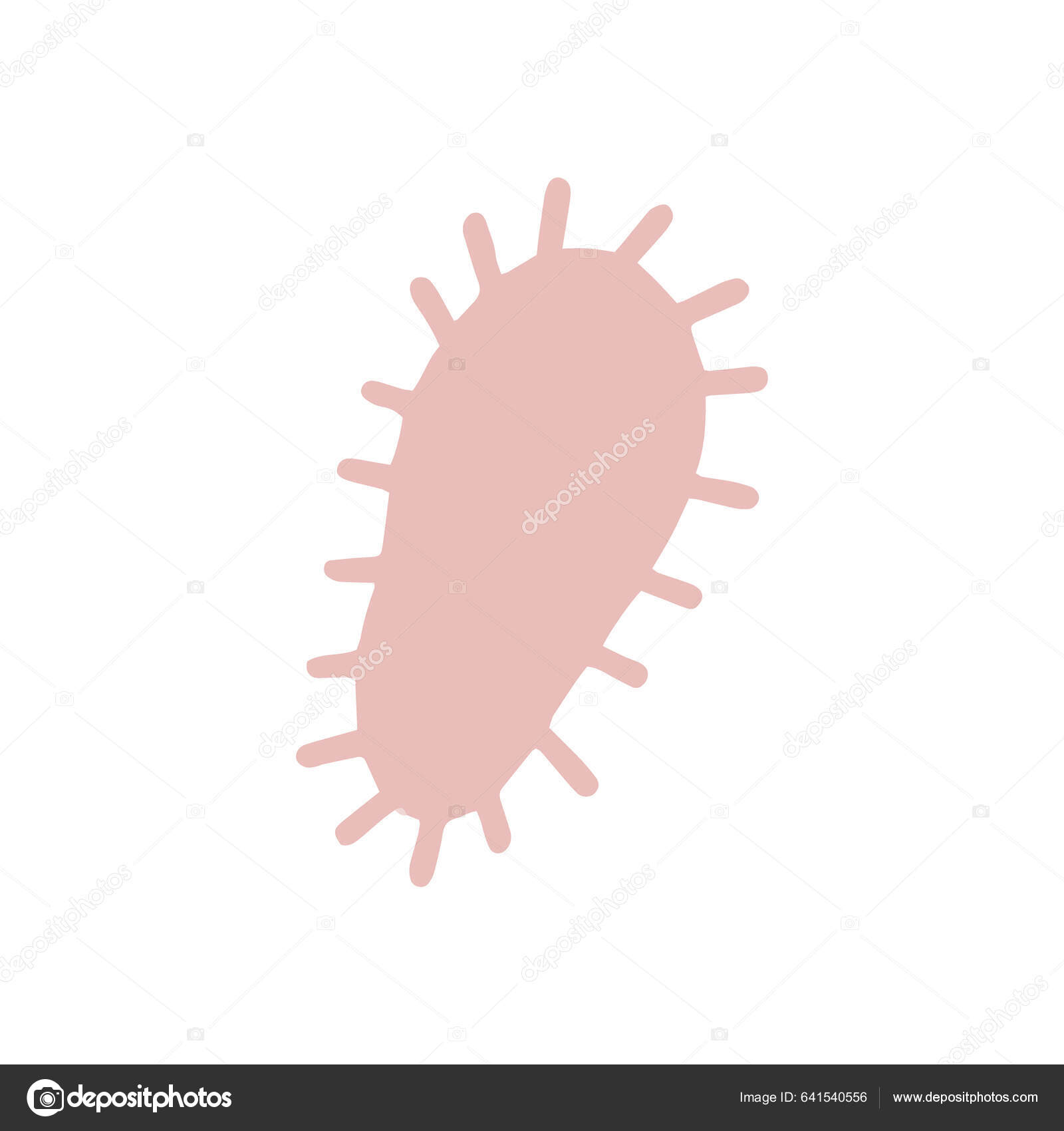 Protist Pictures Kids