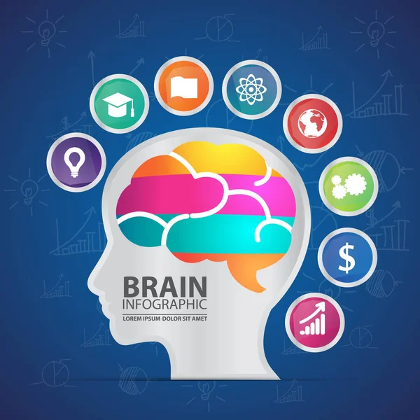 Healthy brain infographic Stock Photos, Royalty Free Healthy brain ...