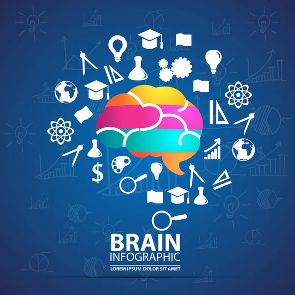 Healthy brain infographic Stock Photos, Royalty Free Healthy brain ...