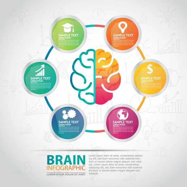Healthy brain infographic Stock Photos, Royalty Free Healthy brain ...