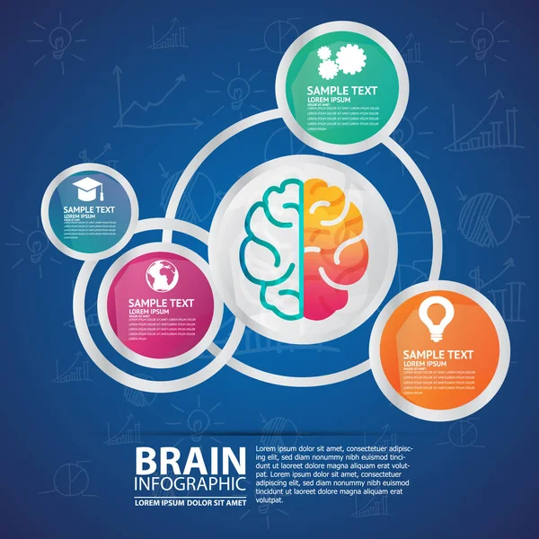 Healthy brain infographic Stock Photos, Royalty Free Healthy brain ...