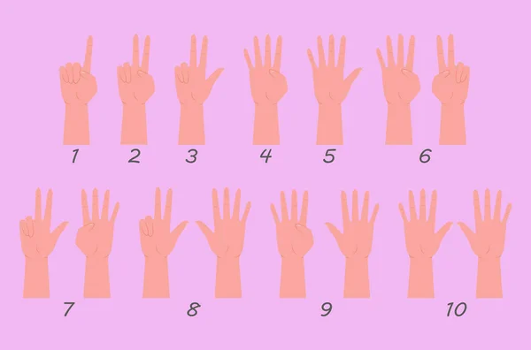 Set Hands Set Counting Hands Sign One Ten Finger Gestures Stock Vector by ©Poliashenko 643397498